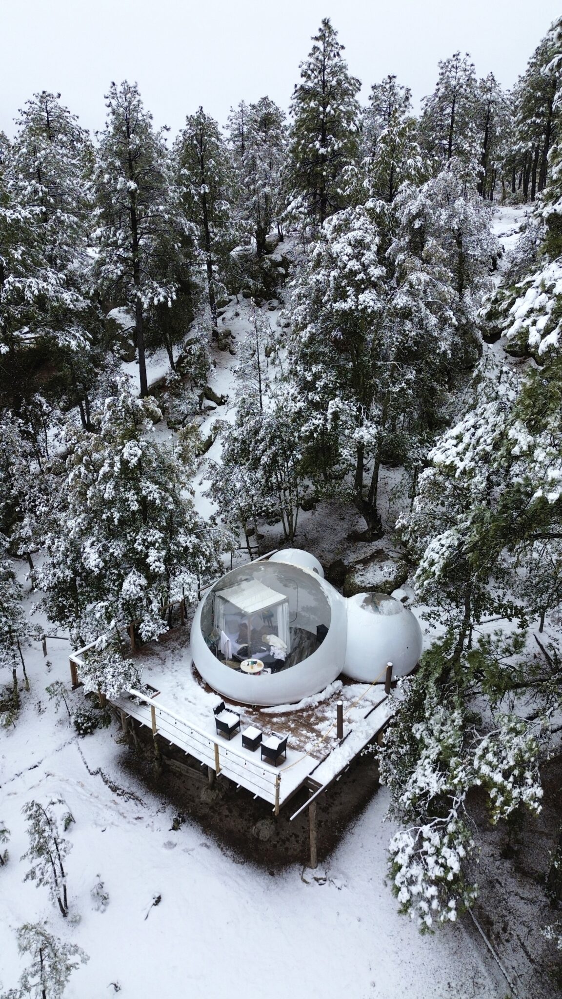 Wooden Inn – Tus Vacaciones en Creel Inician en Wooden Inn